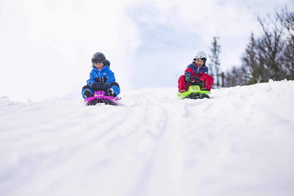 ZebraStore | Skiboby Stiga Snowpower Brake Pink