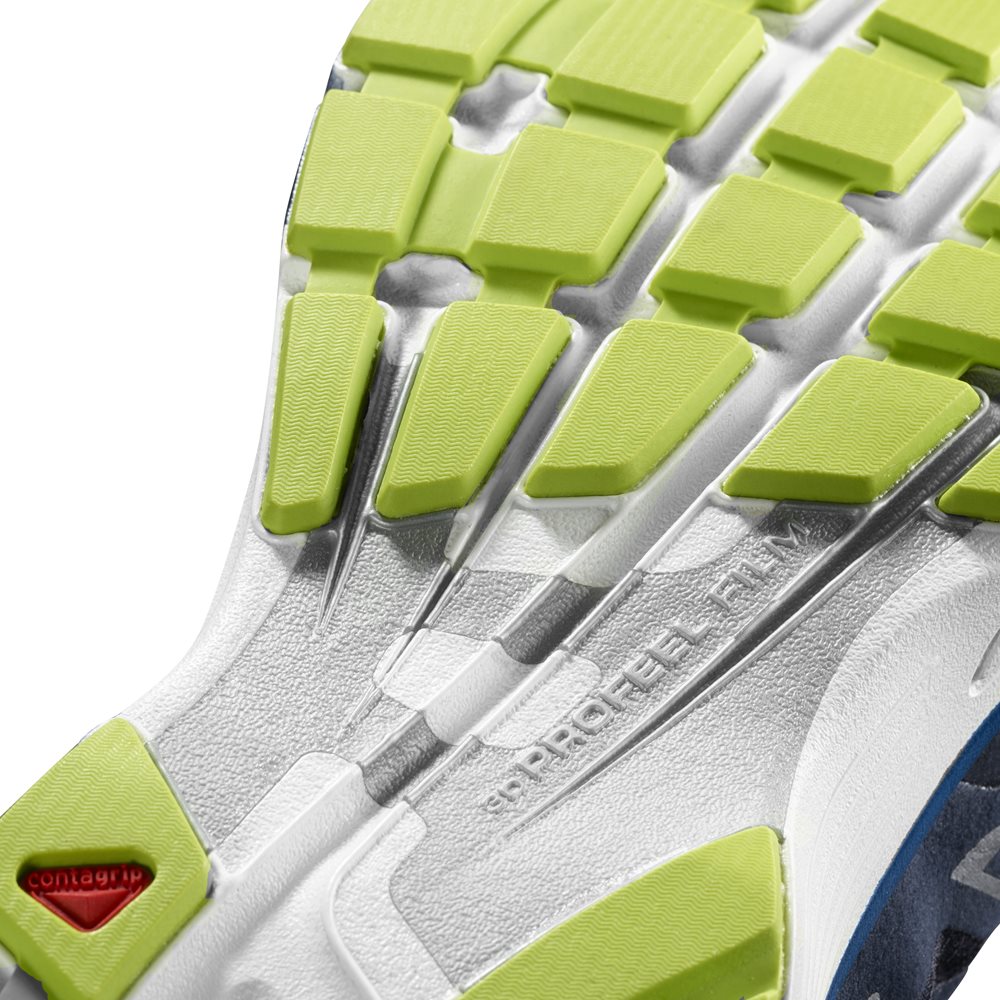 ZebraStore | Salomon Sonic 393549