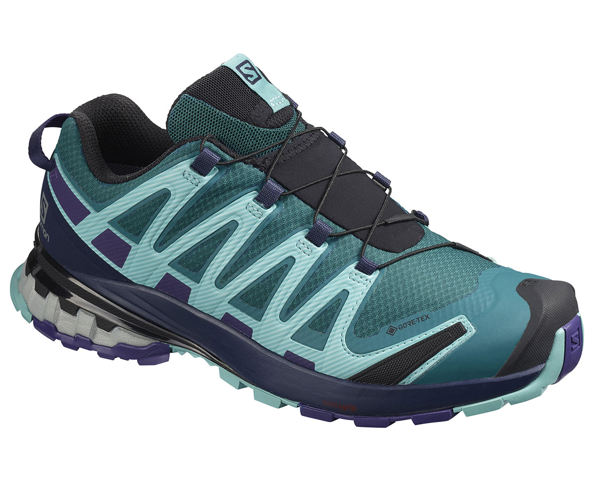 ZebraStore | Salomon XA PRO 3D v8 GTX W 409903